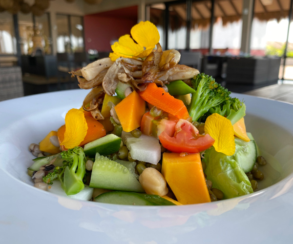 salad at Jetwing Yala - Vegan Food Quest